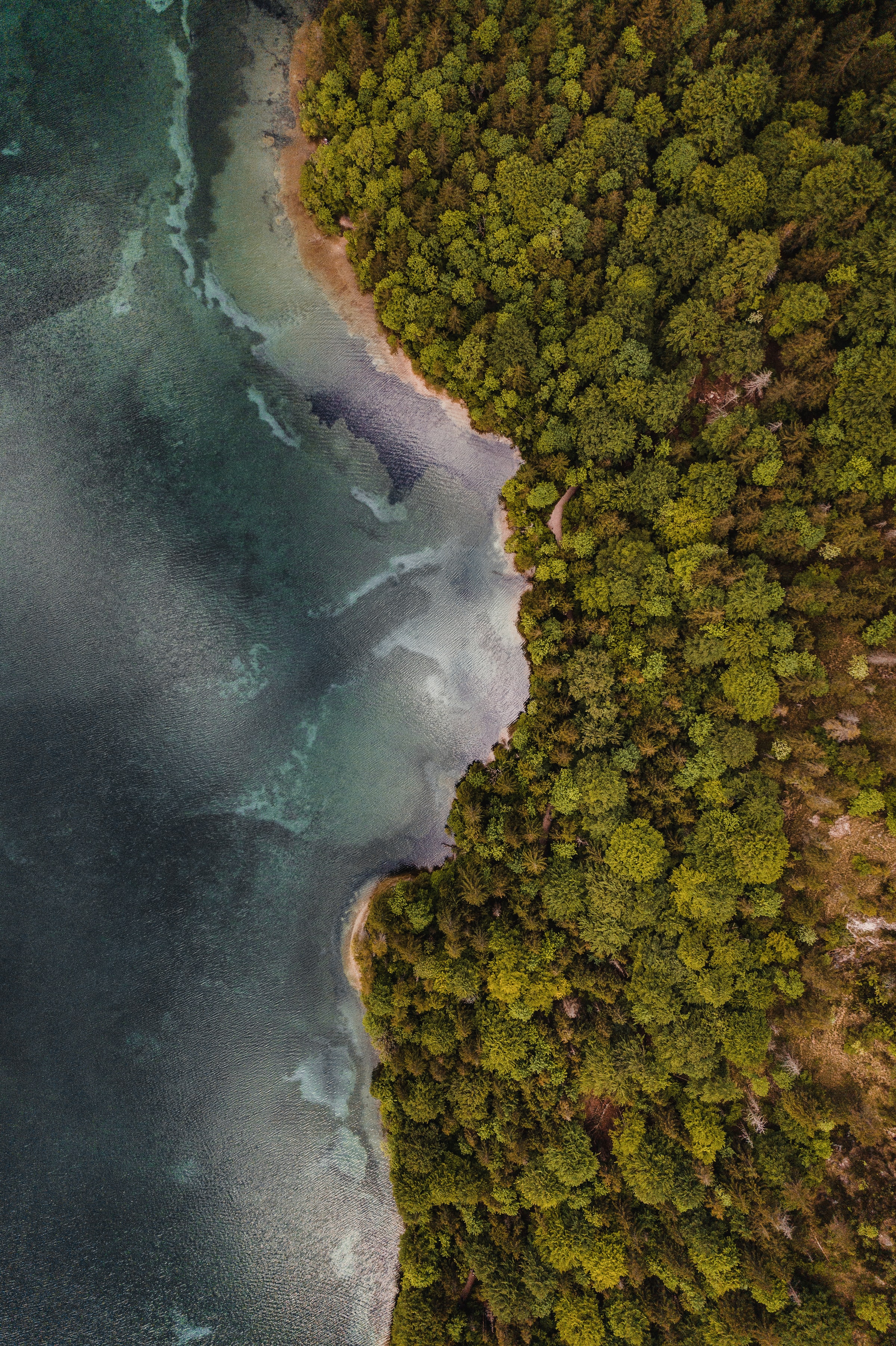 Download wallpaper 2400x3603 aerial view, coast, trees, forest, sea hd ...