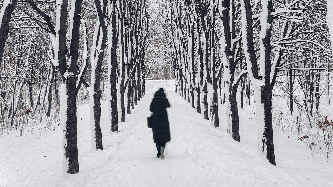 Wallpaper man, loneliness, winter, path, trees, sad hd, picture, image