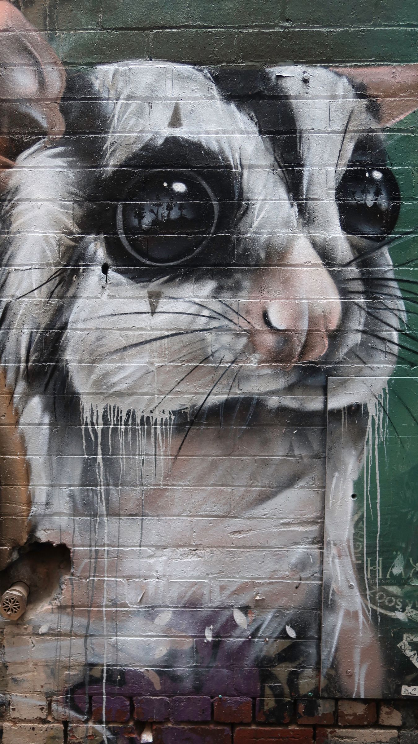 Download wallpaper 1350x2400 animal, graffiti, art, street art, wall ...
