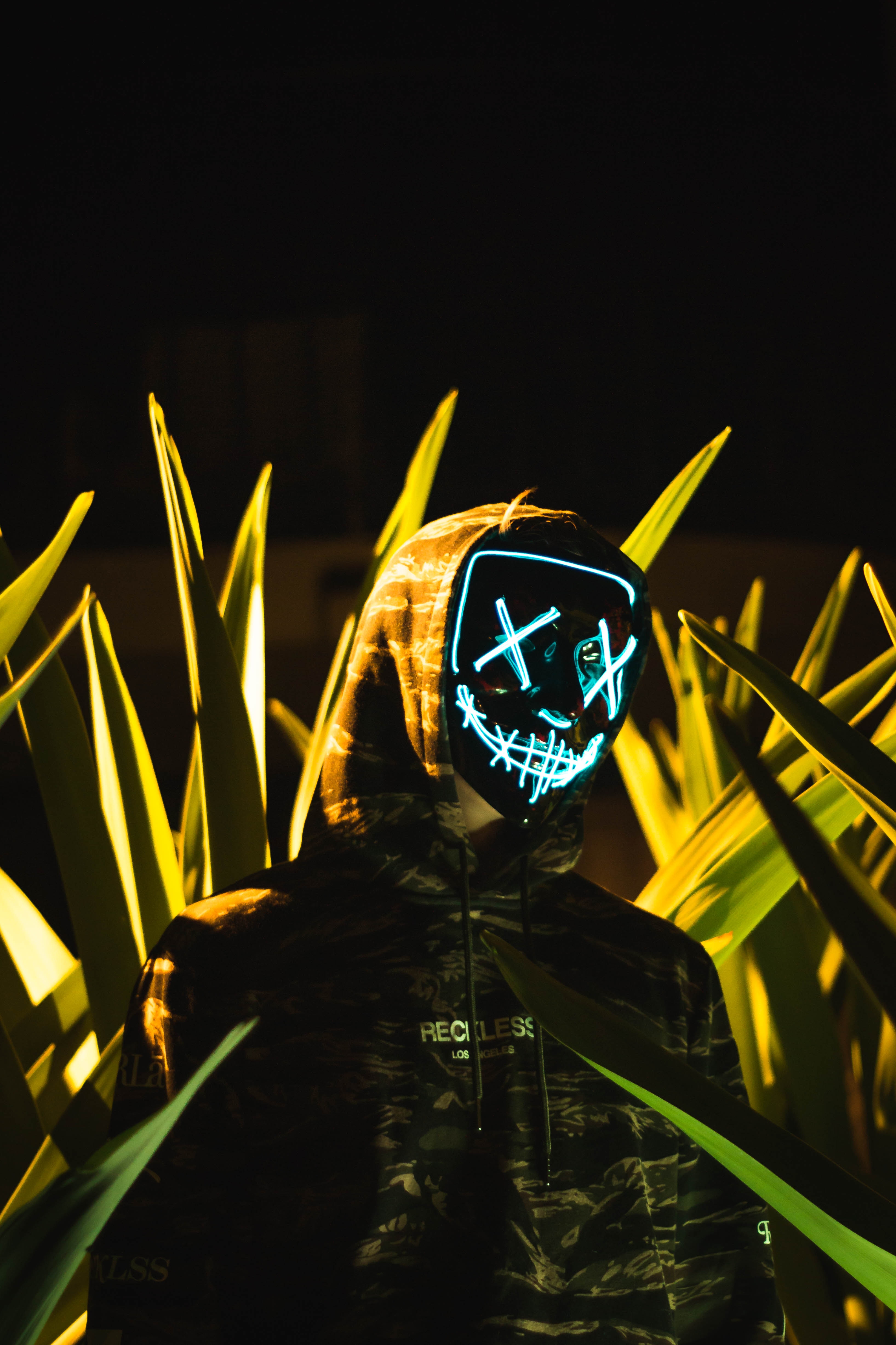 Download wallpaper 3271x4907 anonymous, mask, hood, leaves, lights hd ...