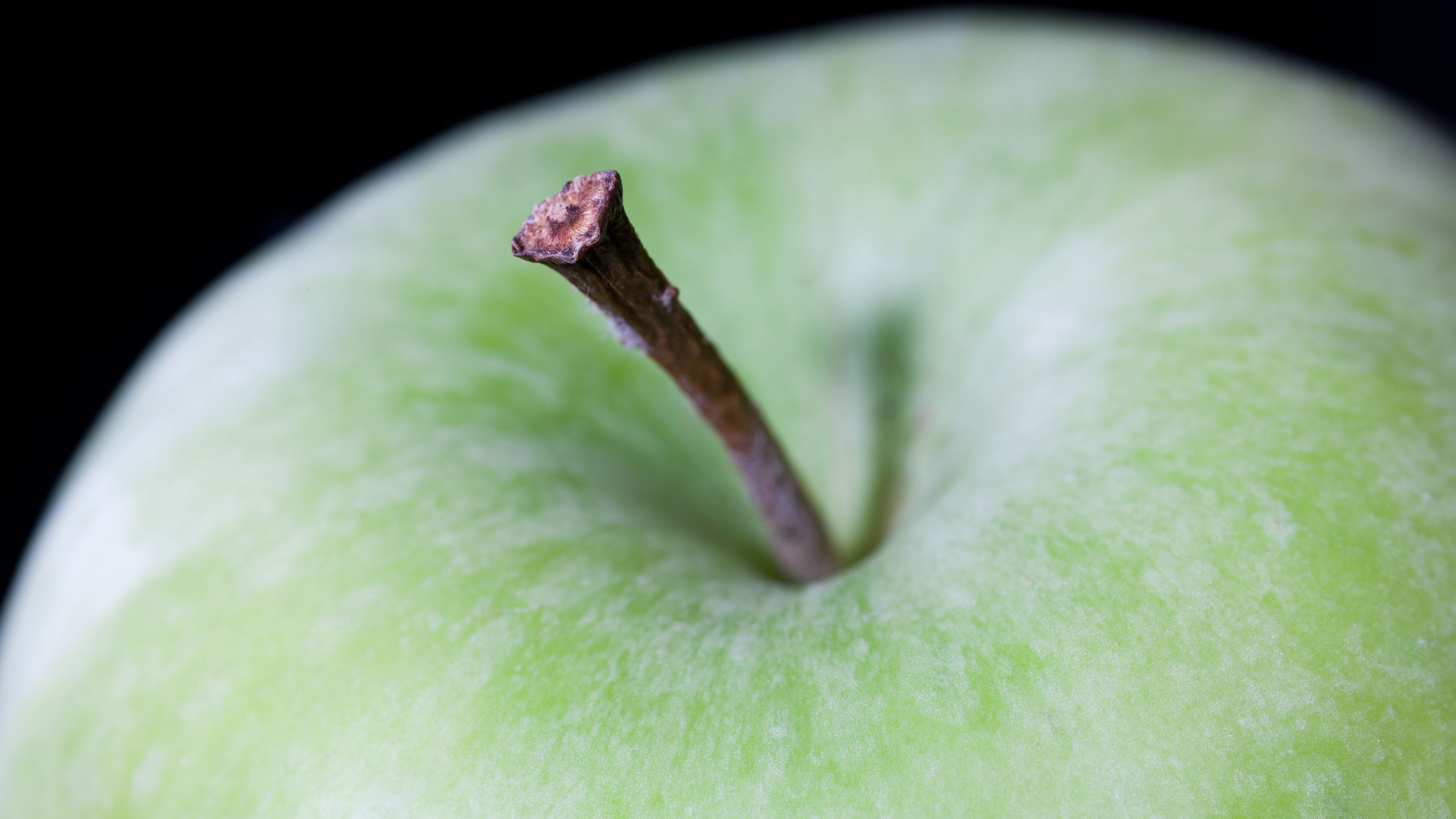Download wallpaper 3840x2160 apple, fruit, green, macro 4k uhd 16:9 hd ...