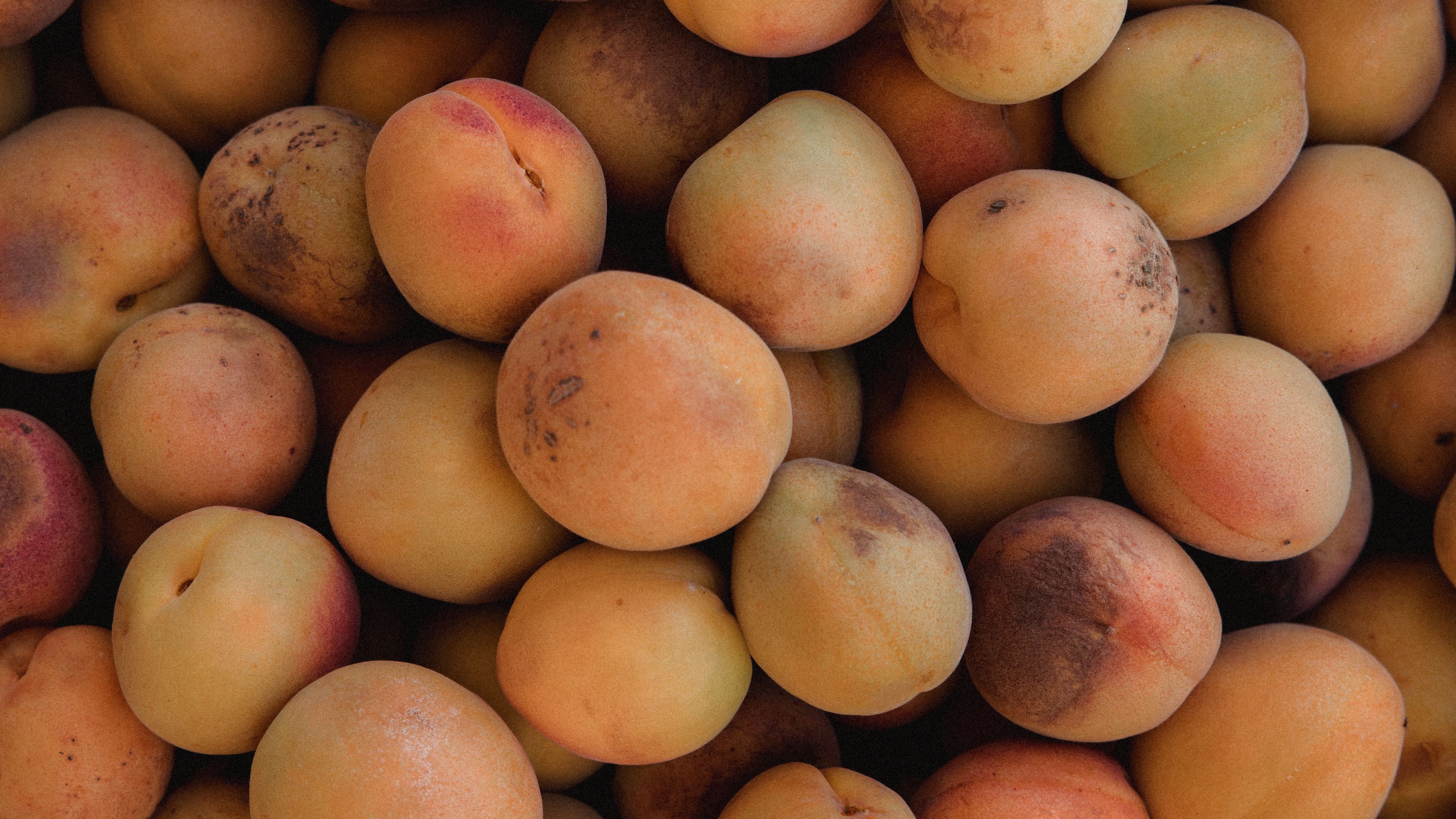 Download wallpaper 3840x2160 apricots, fruit, yellow, ripe 4k uhd 16:9 ...