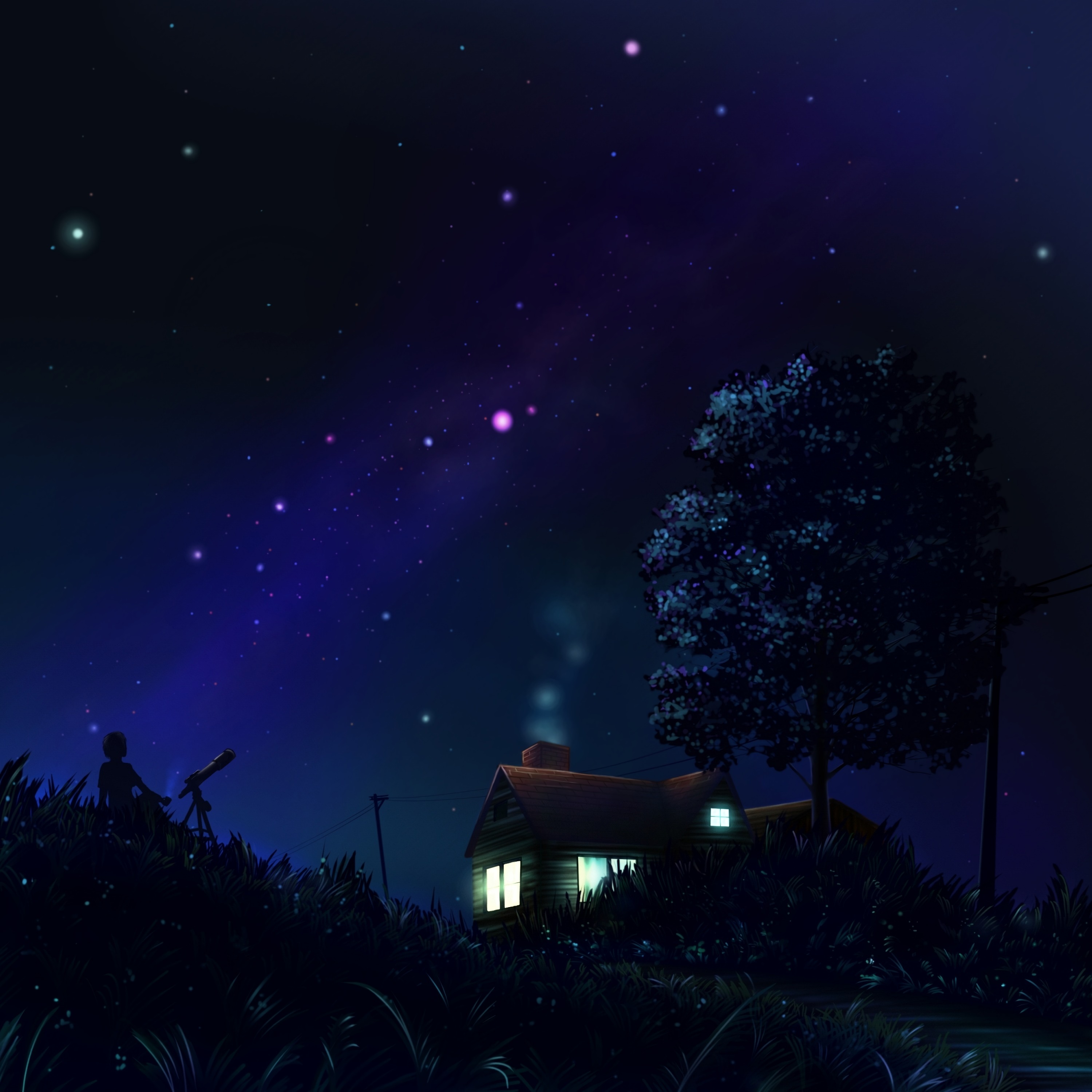 Download wallpaper 3000x3000 astronomer, silhouette, house, night ...