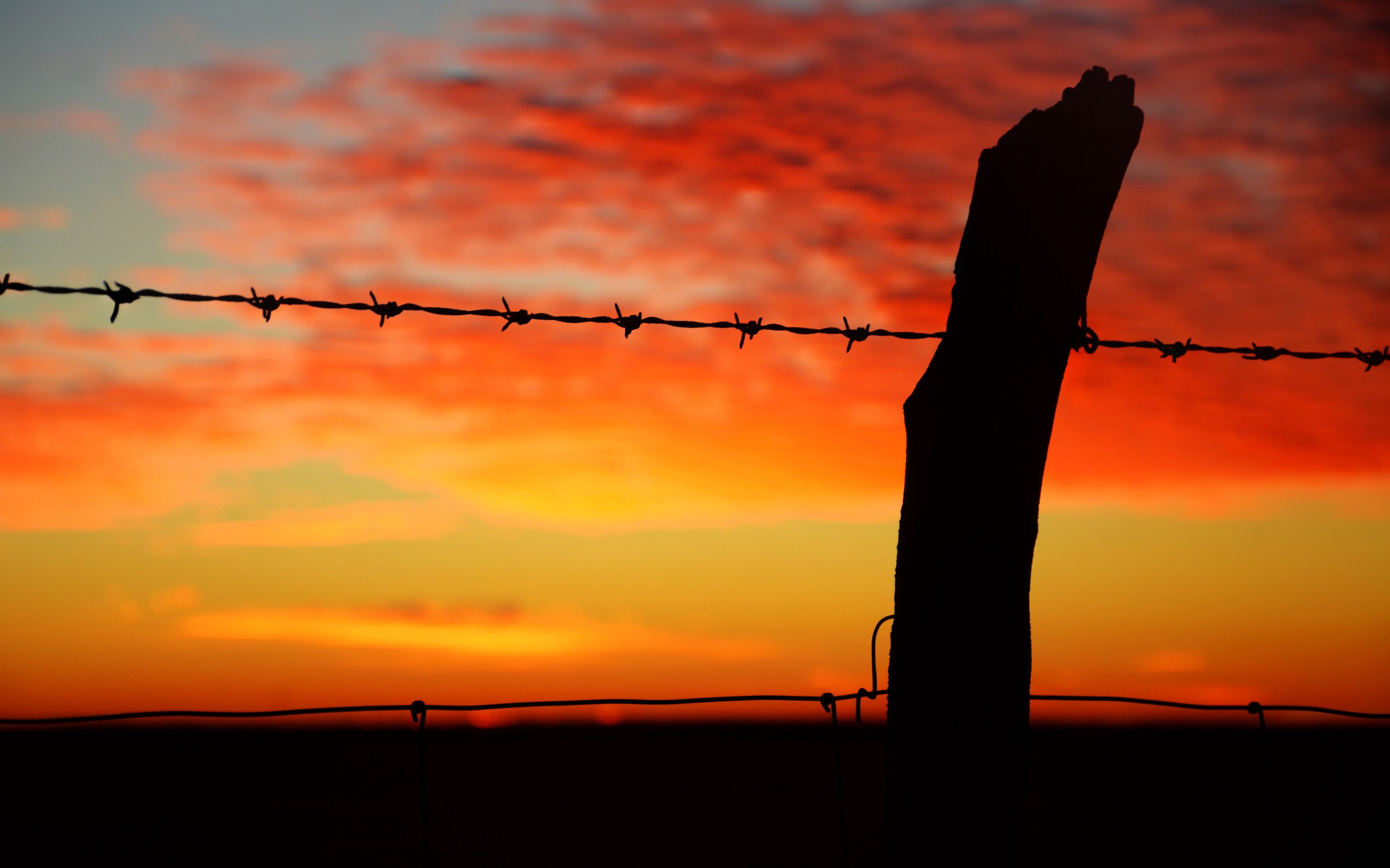 Download wallpaper 3840x2400 barbed wire, sunset, horizon 4k ultra hd ...