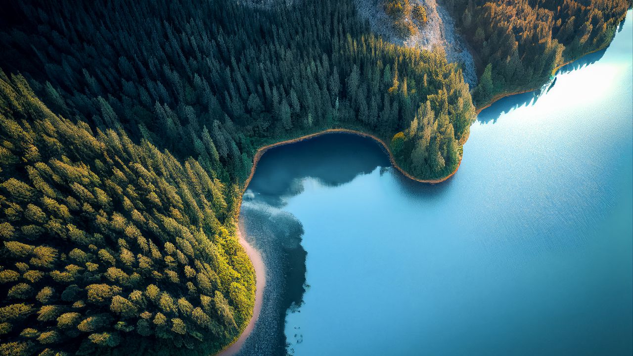 Wallpaper bay, sea, trees, forest, aerial view hd, picture, image