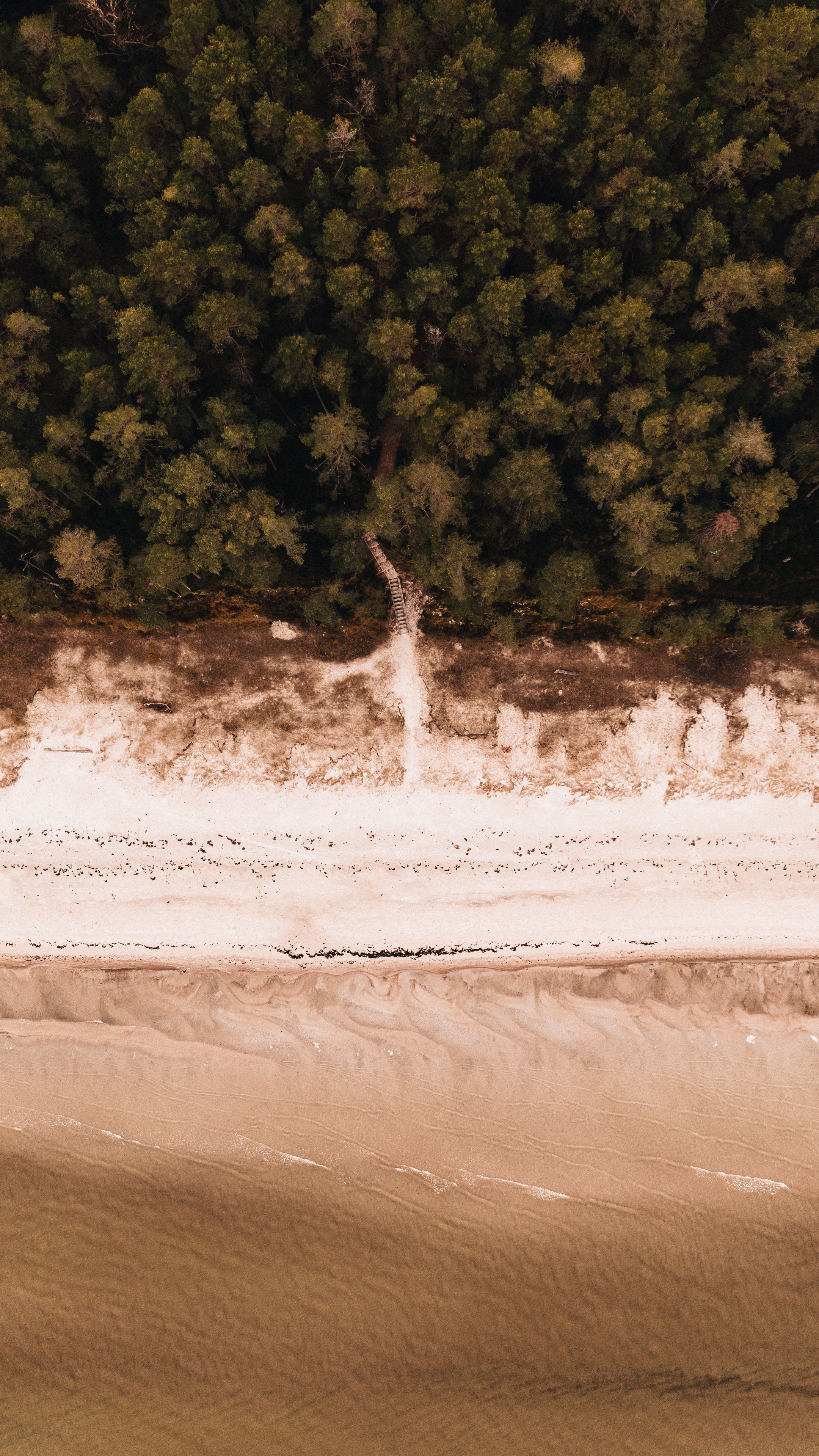 Download wallpaper 2160x3840 beach, aerial view, sea, forest, shore ...