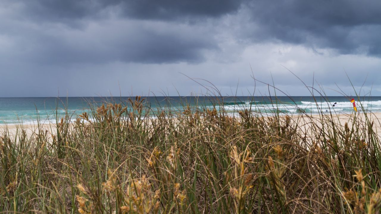 Wallpaper beach, sand, grass, sea, landscape hd, picture, image