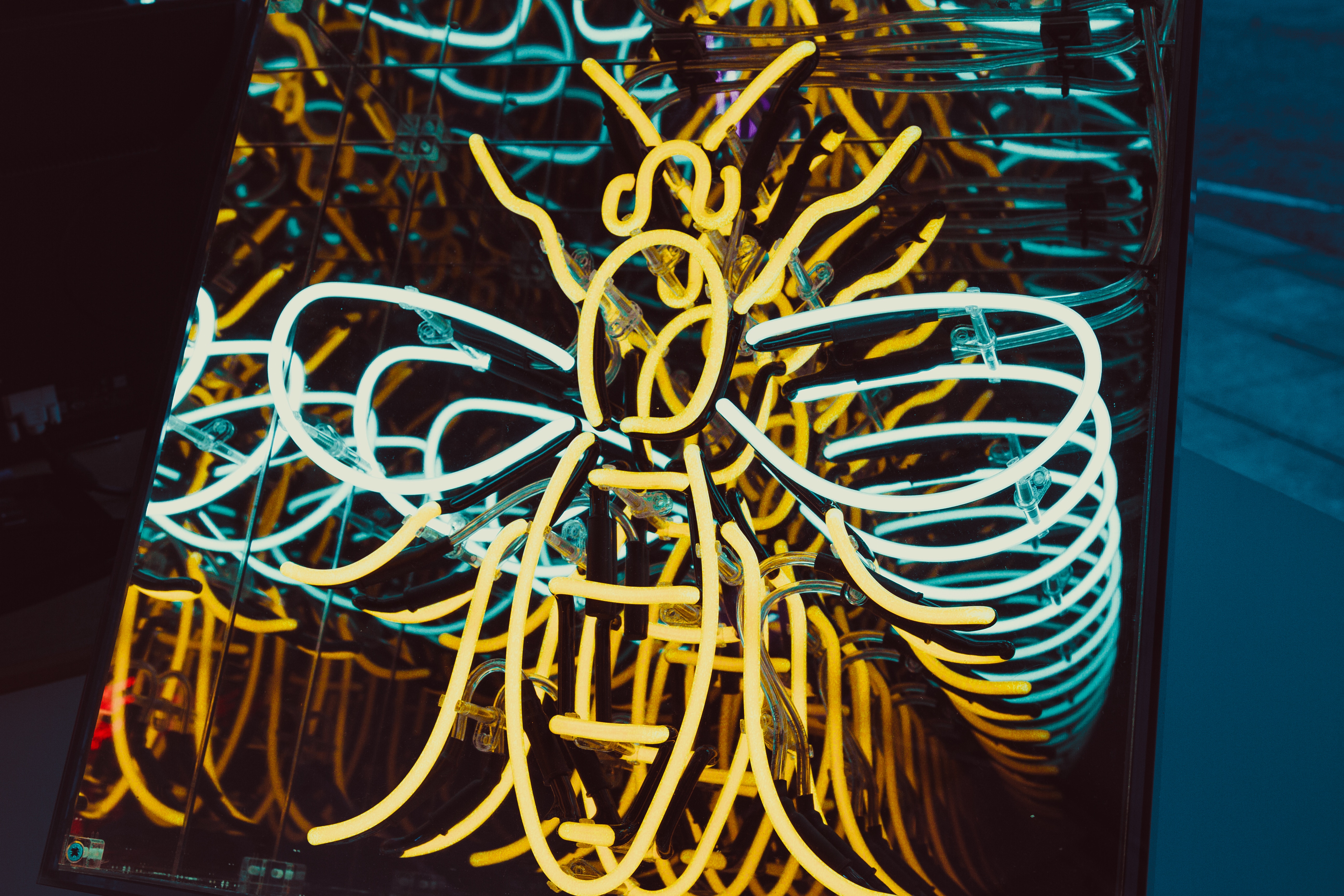 Download wallpaper 5184x3456 bee, neon, light, form hd background