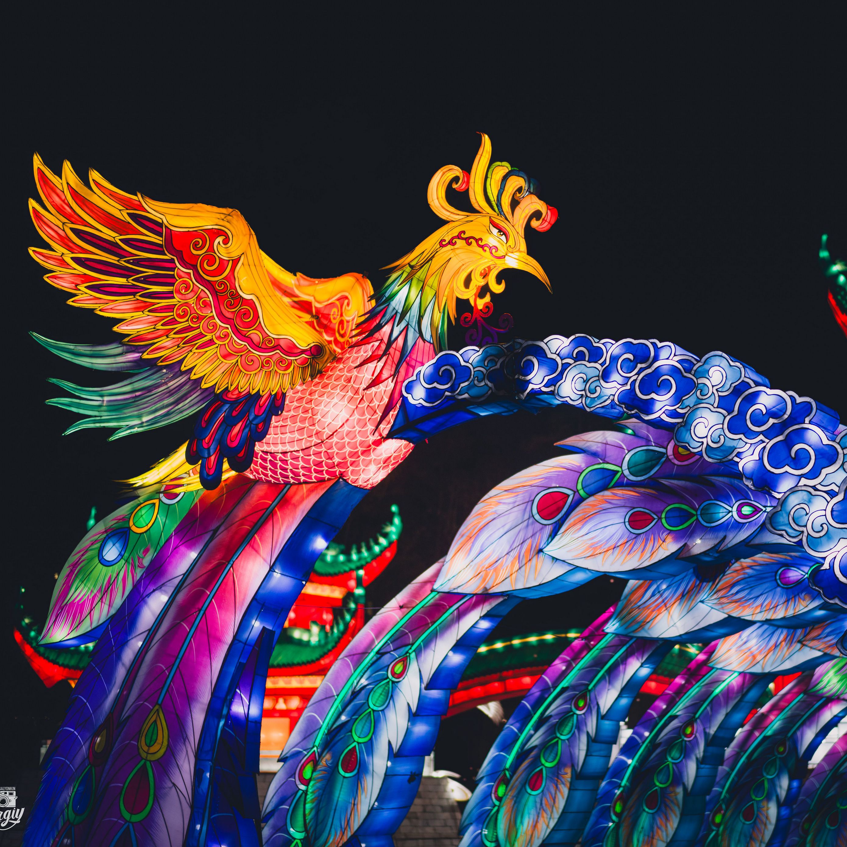 Download wallpaper 2780x2780 bird, arches, pagoda, glow, night, asia ...