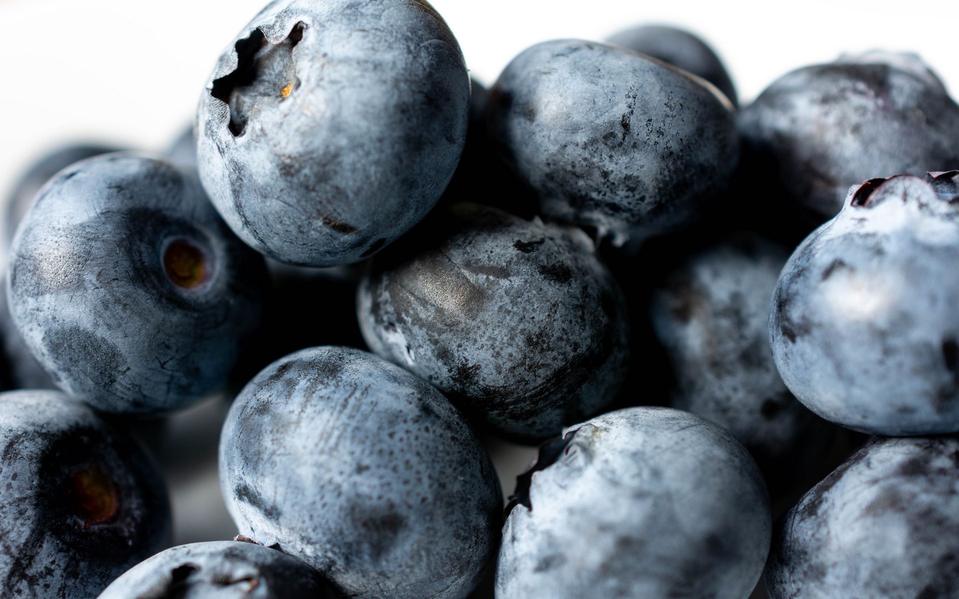 Download wallpaper 1920x1200 blueberries, berries, food, blue widescreen 16:10 hd background