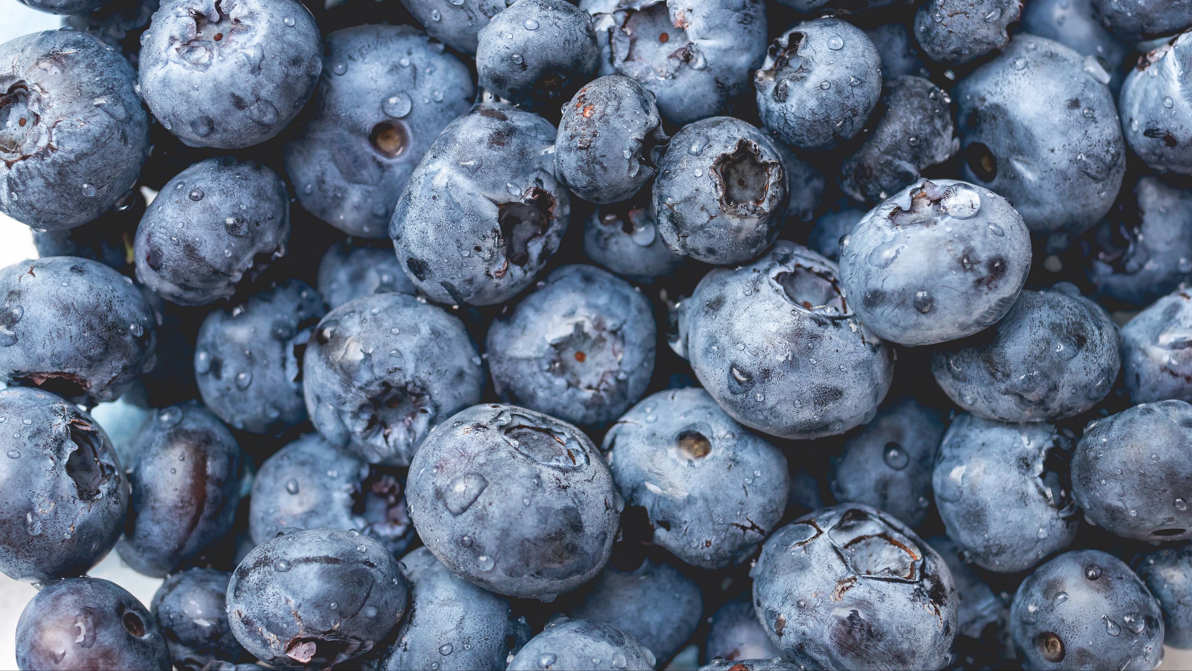 Download wallpaper 3840x2160 blueberry, fruit, berry, macro, drops 4k ...