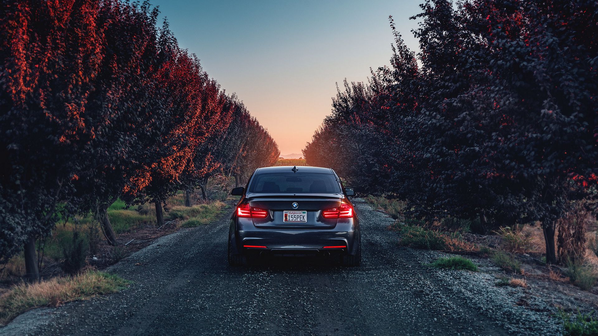 Download wallpaper 1920x1080 bmw, f80, 335i, rear view full hd, hdtv ...