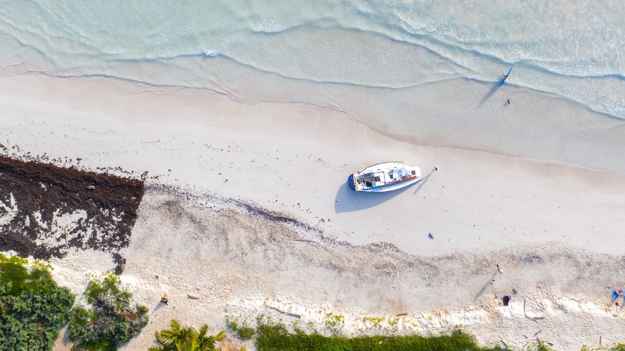 Wallpaper boat, sea, beach, trees, aerial view hd, picture, image