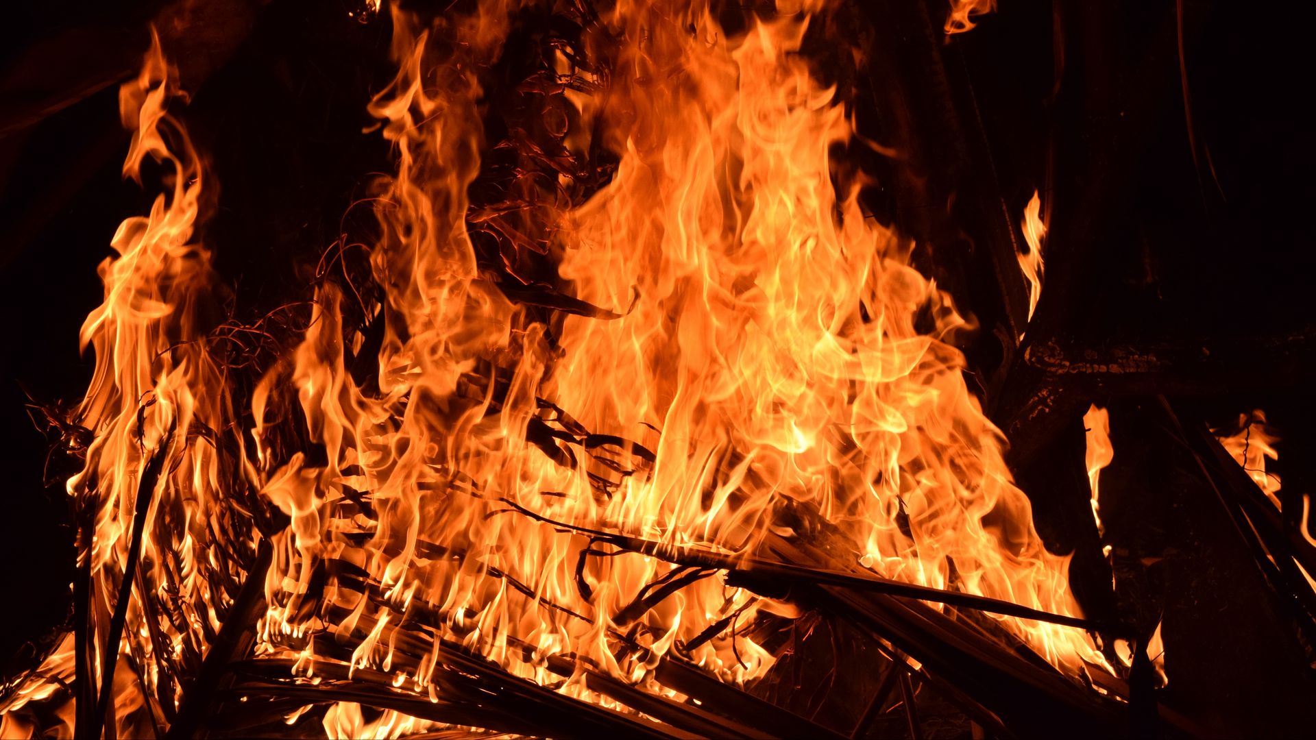 Download wallpaper 1920x1080 bonfire, fire, flame, brushwood full hd ...