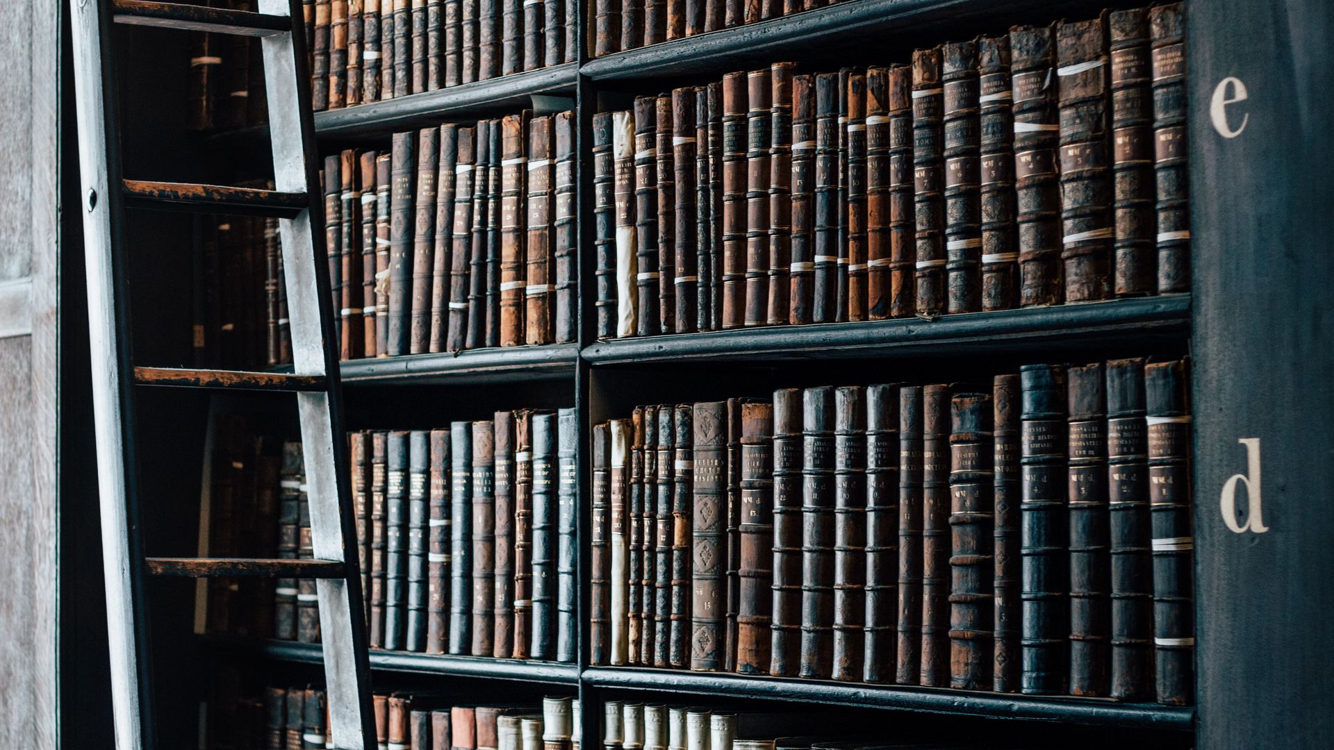 Download wallpaper 1920x1080 books, library, shelves, collection full ...