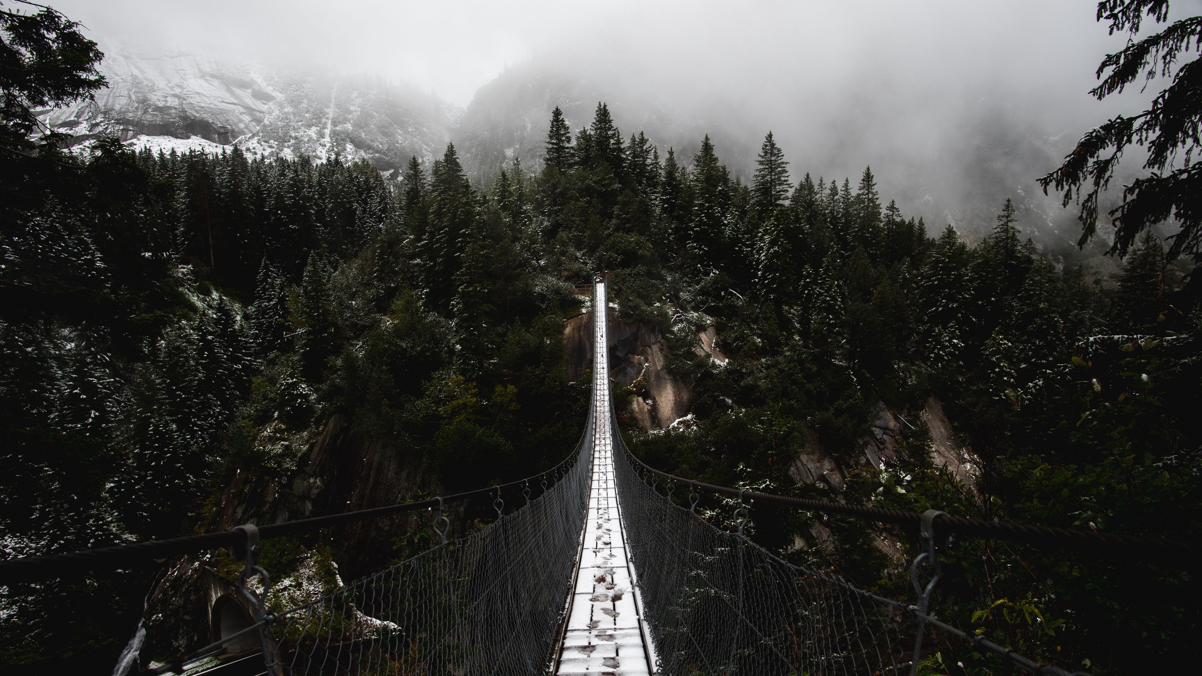 Download wallpaper 3840x2160 bridge, forest, fog, nature 4k uhd 16:9 hd ...