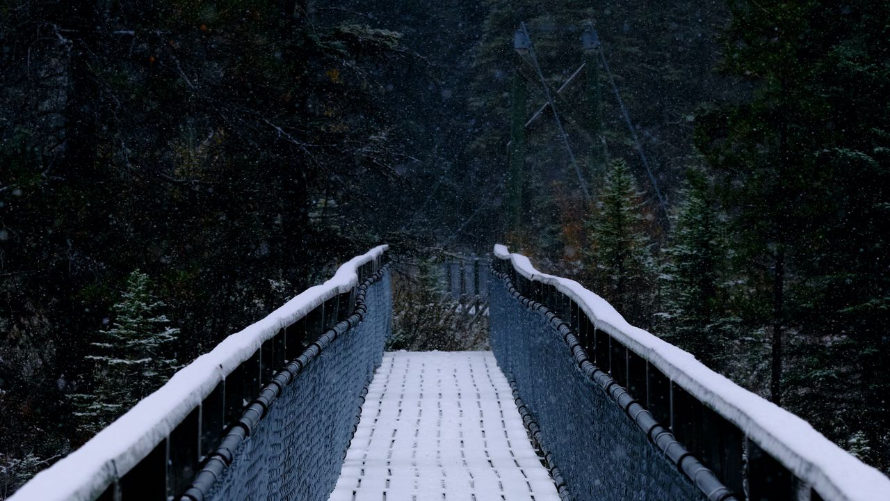 Wallpaper bridge, forest, trees, snow, nature hd, picture, image