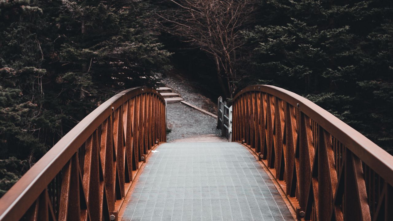 Wallpaper bridge, forest, trees, landscape hd, picture, image