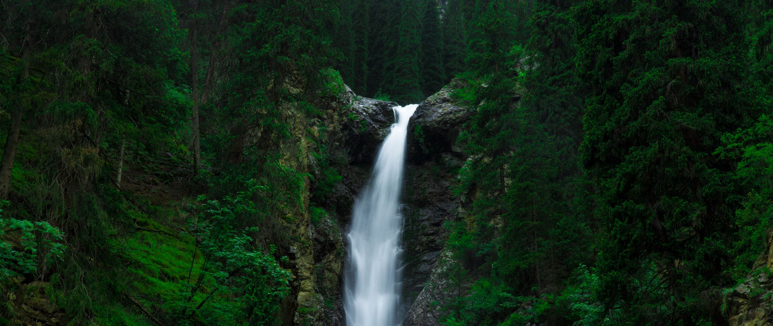 Download wallpaper 2560x1080 waterfall, current, trees, stones dual ...