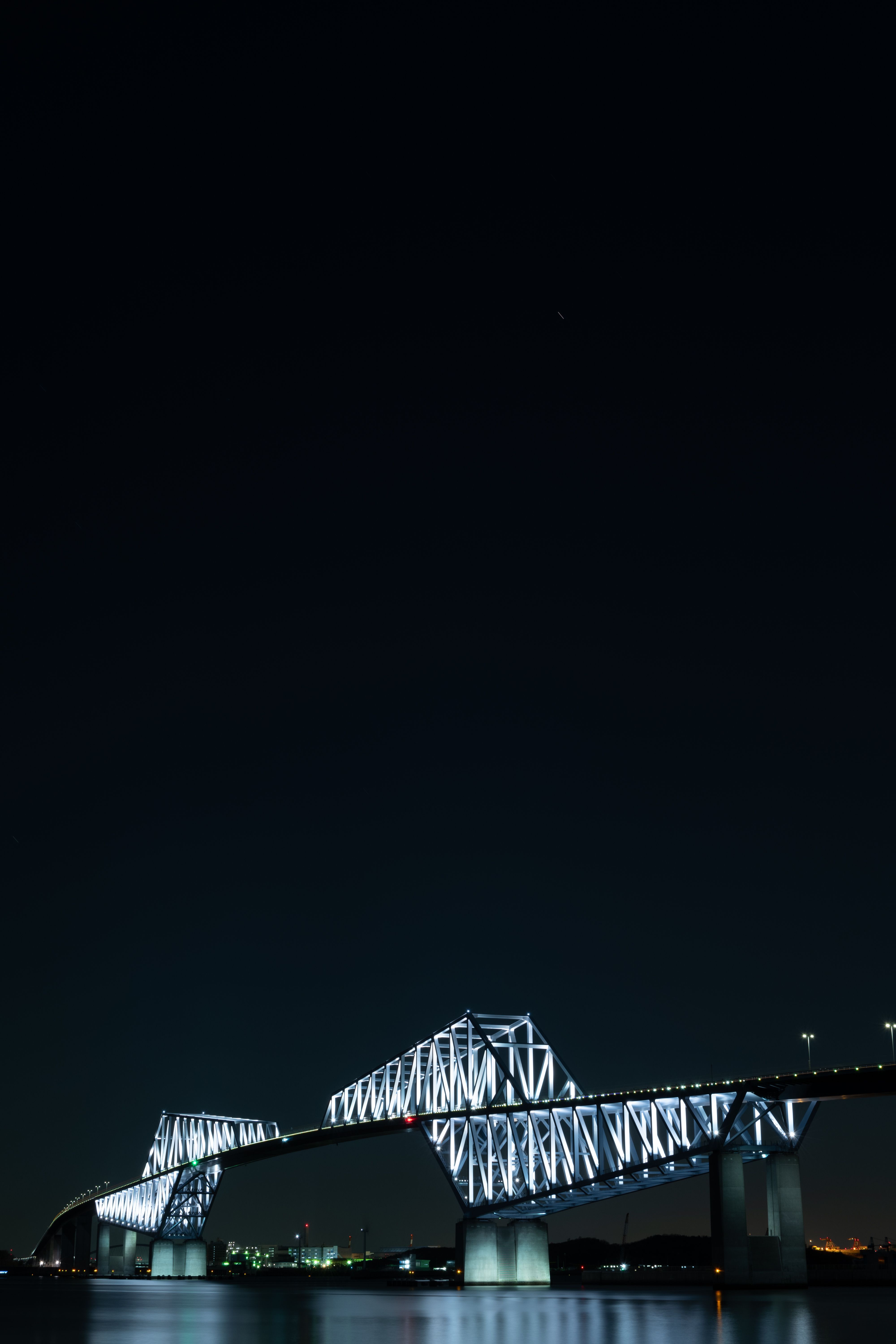 Download wallpaper 4000x6000 bridge, night city, bay, backlight, tokyo ...