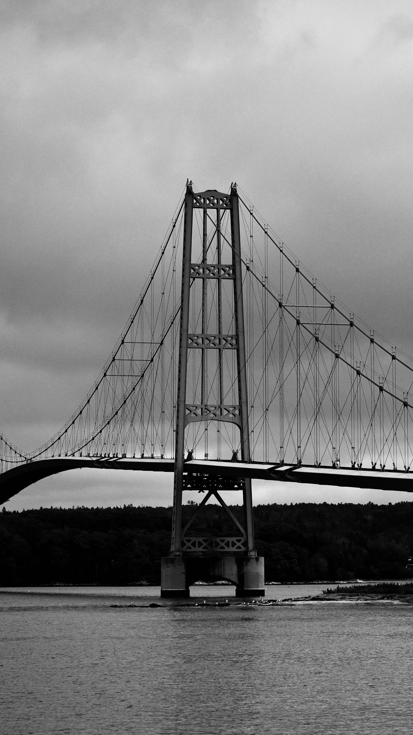 Download wallpaper 1350x2400 bridge, river, architecture, black and ...