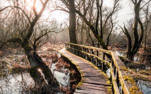 Wallpaper bridge, river, ice, snow, trees, winter hd, picture, image