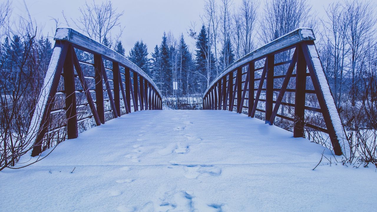 Wallpaper bridge, snow, traces, winter hd, picture, image