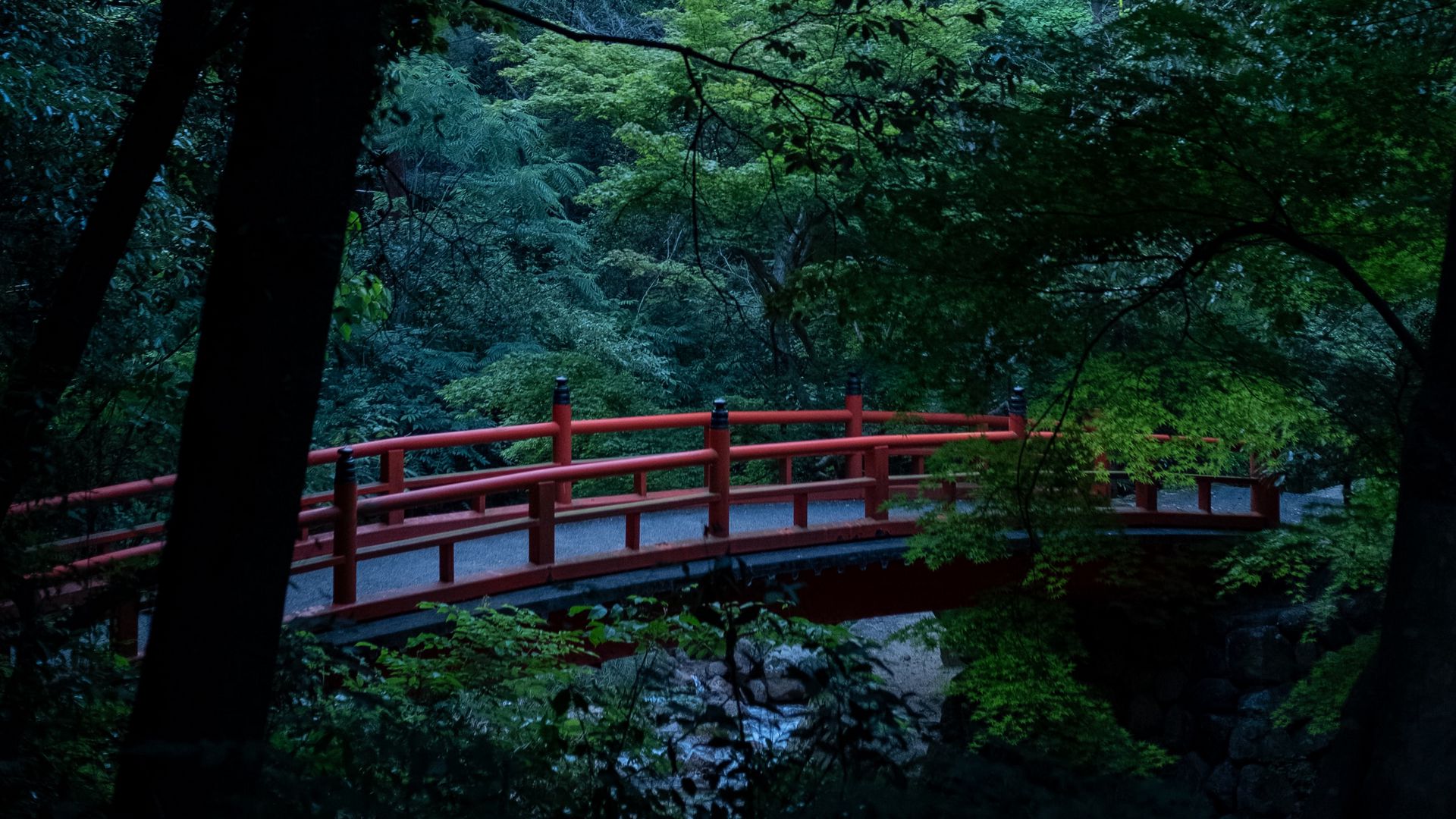 Download wallpaper 1920x1080 bridge, trees, branches, bushes full hd ...