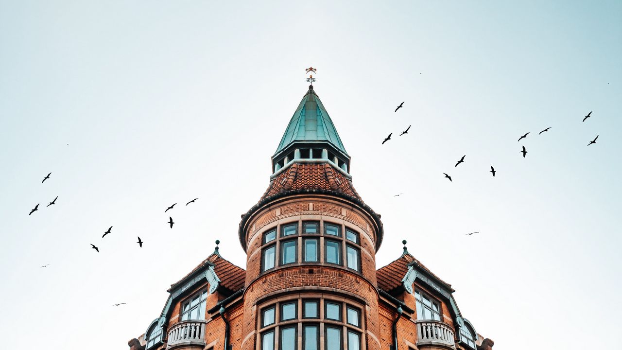 Wallpaper building, architecture, birds hd, picture, image