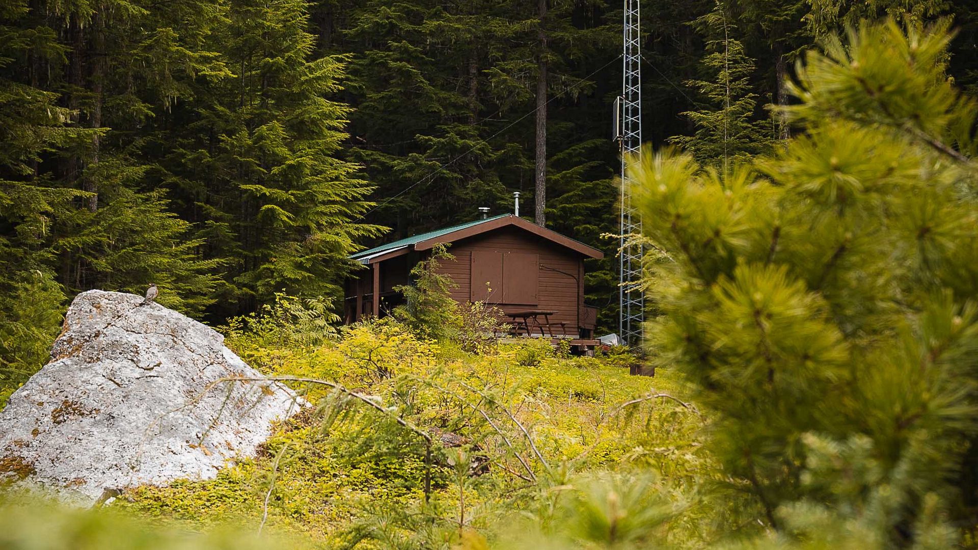 Download wallpaper 1920x1080 building, forest, trees, stone full hd ...