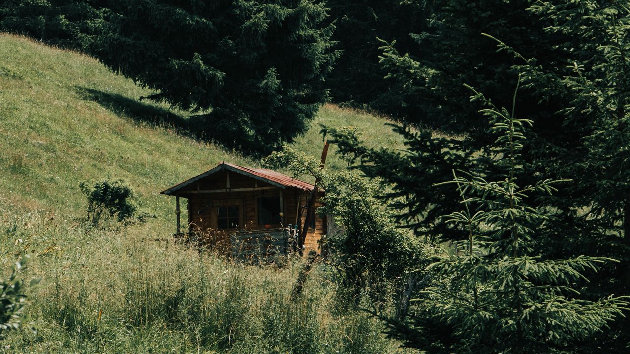 Wallpaper building, slope, forest, trees, grass hd, picture, image