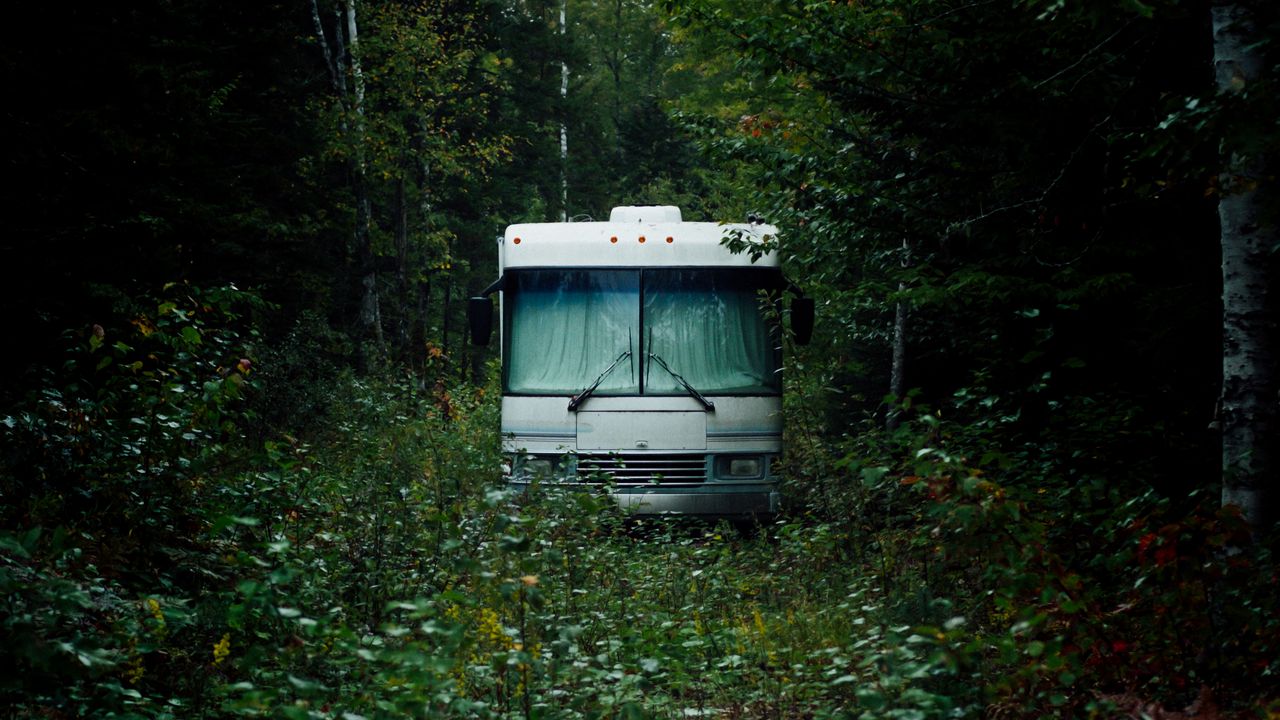 Wallpaper bus, white, forest, nature hd, picture, image