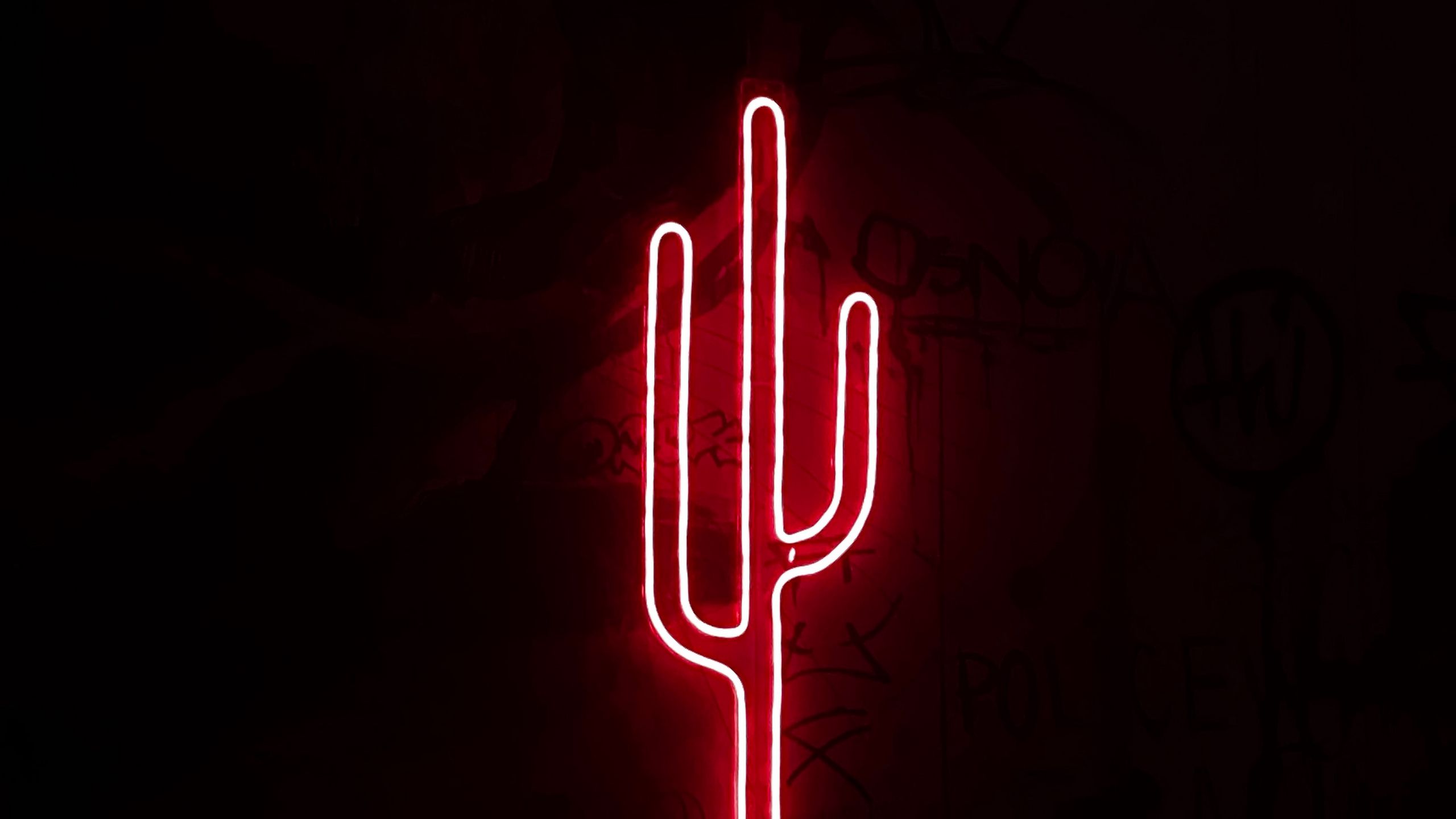 Download wallpaper 2560x1440 cactus, neon, light, red, darkness ...