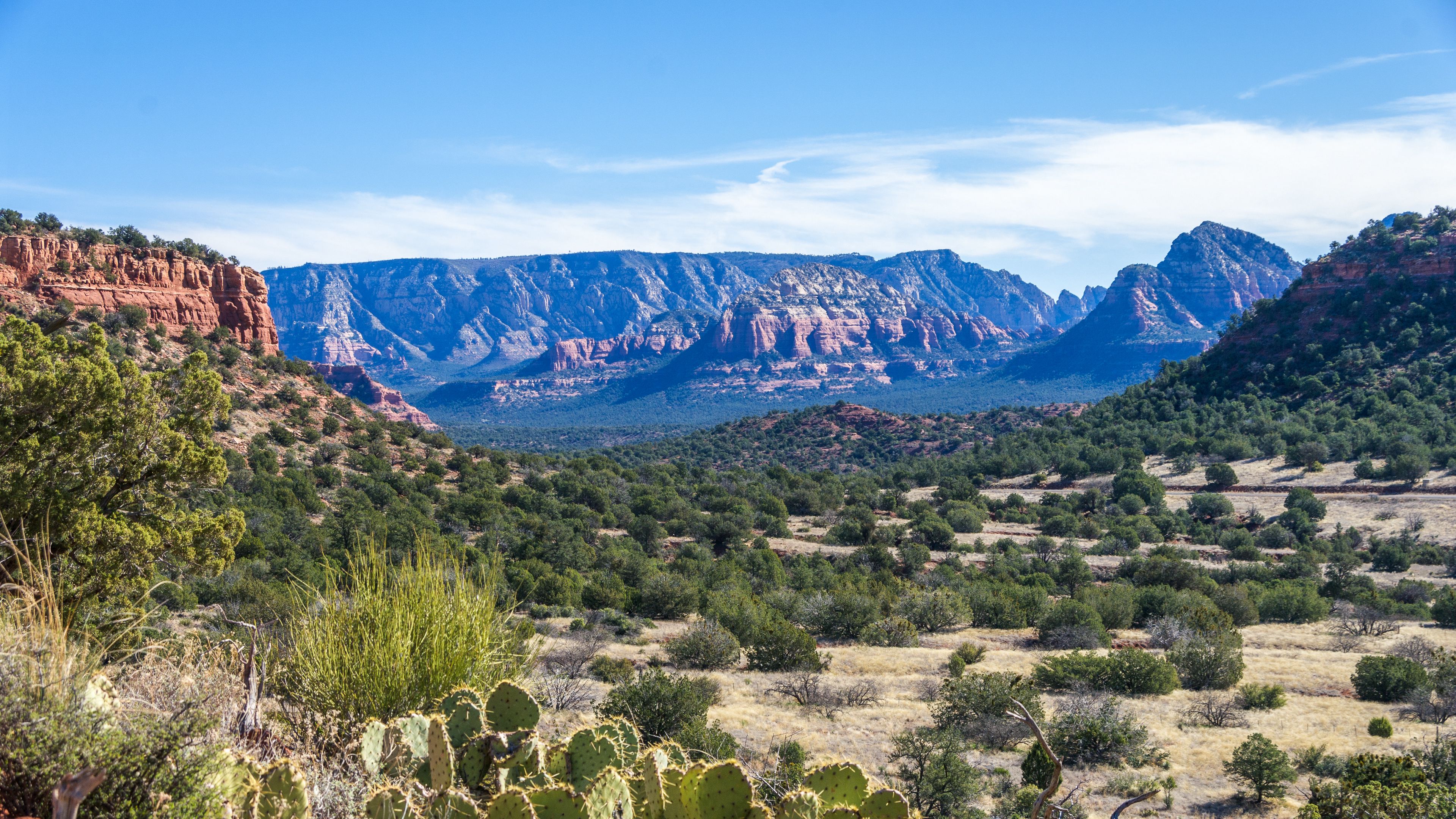 Download wallpaper 3840x2160 canyon, prairie, cacti, bushes, rocks 4k ...