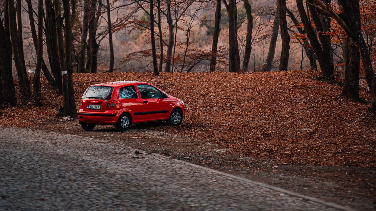 Wallpaper car, red, nature, autumn hd, picture, image
