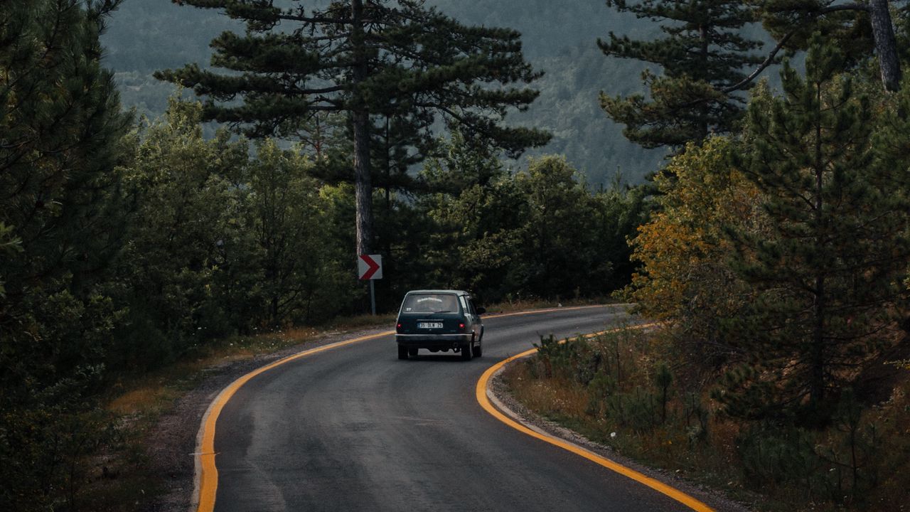 Wallpaper car, road, trees, forest hd, picture, image