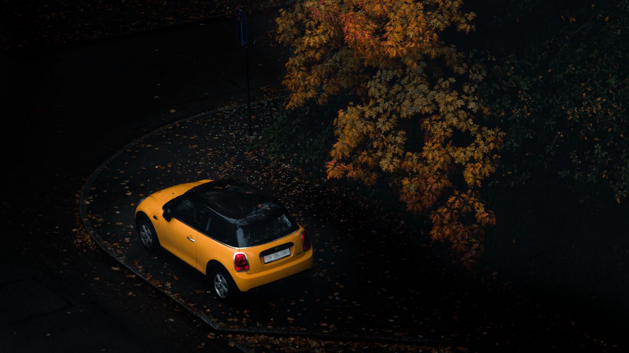 Wallpaper car, tree, autumn, yellow hd, picture, image