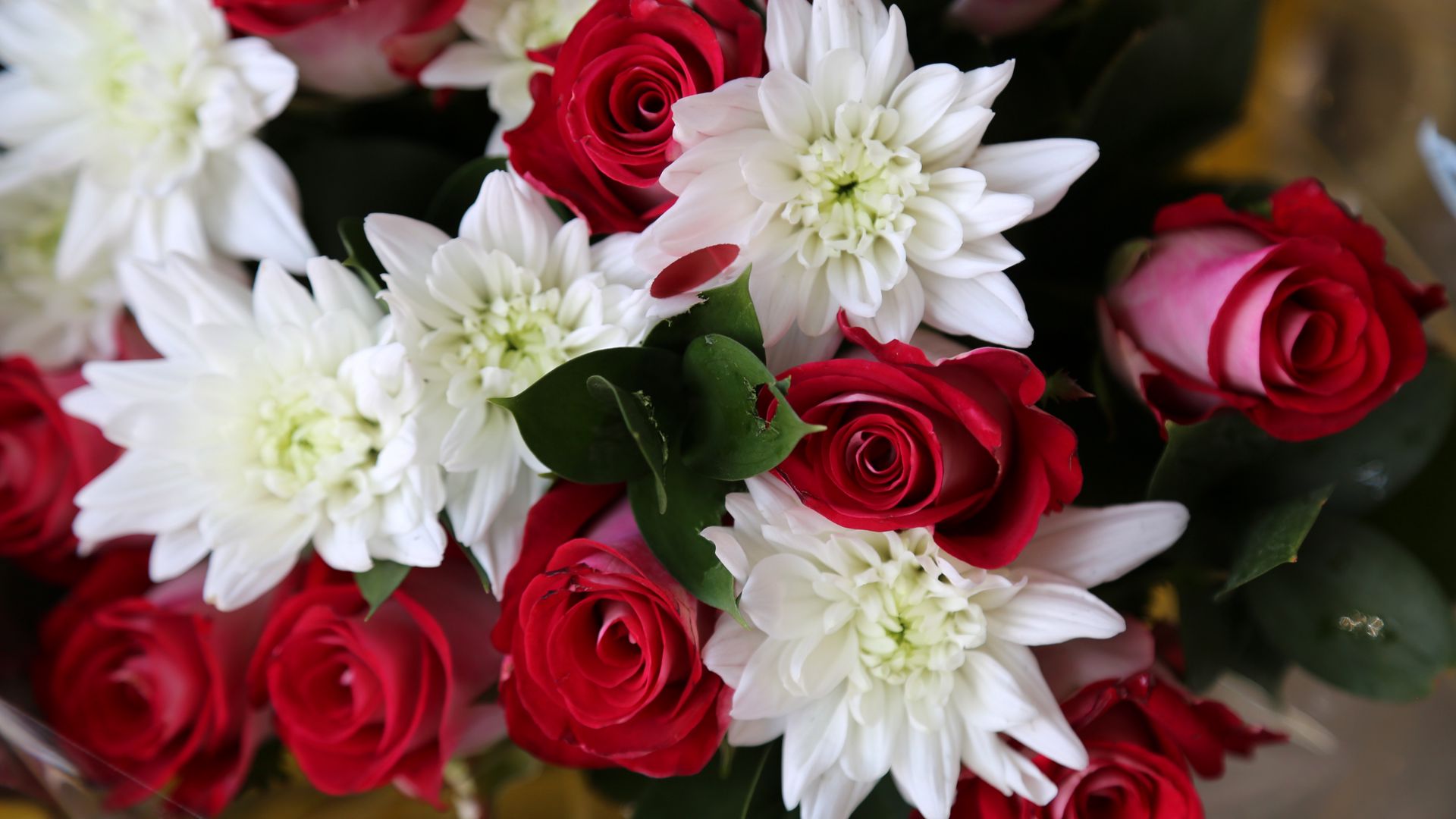 Download wallpaper 1920x1080 chrysanthemums, roses, flowers, petals ...