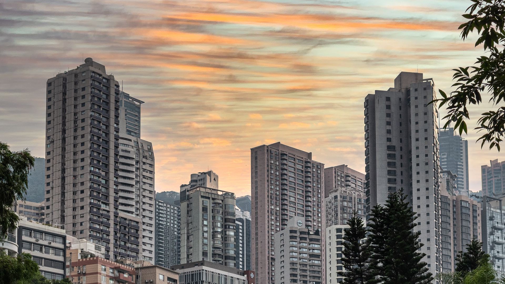 Download wallpaper 1920x1080 city, buildings, trees, sunset full hd ...