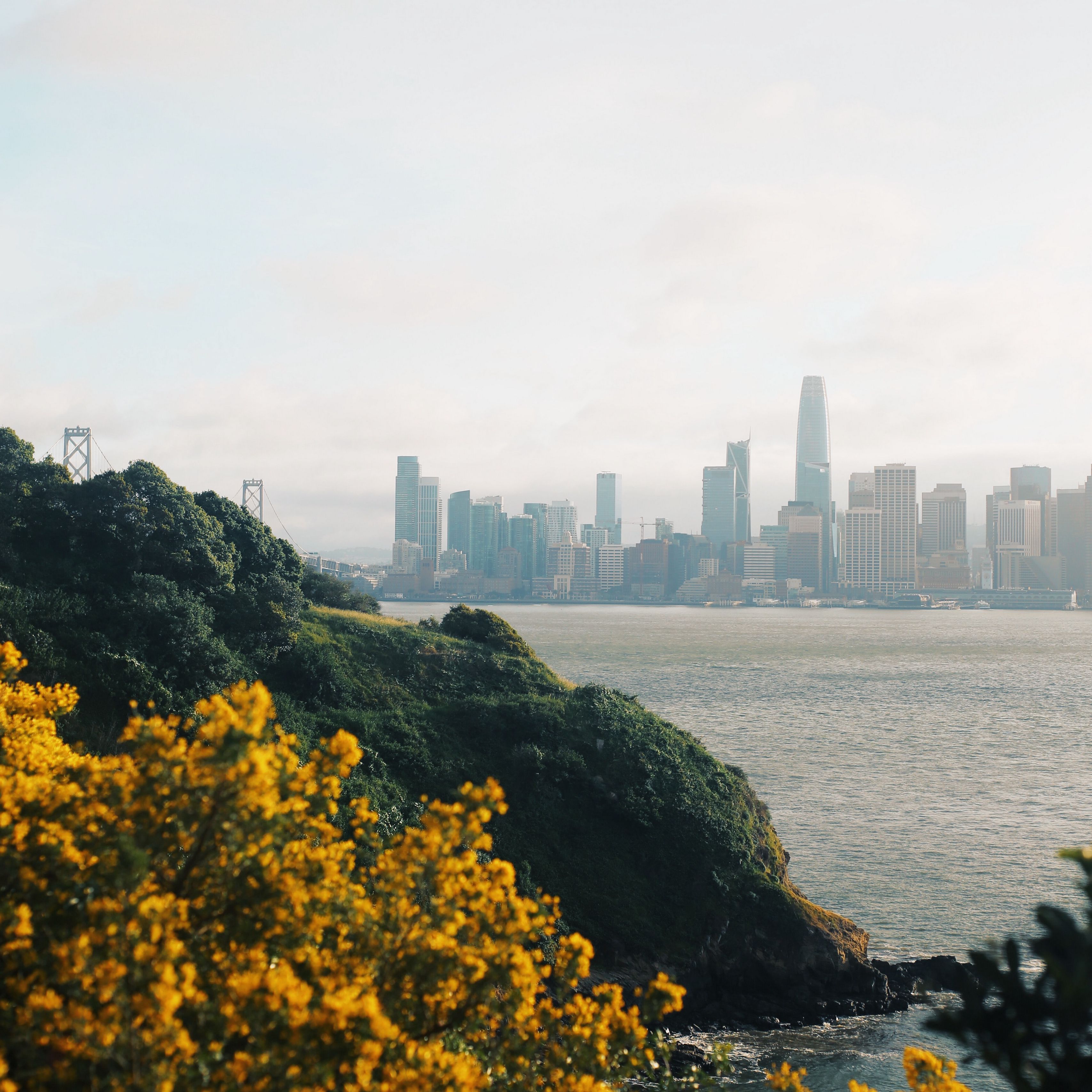 Flowers X City