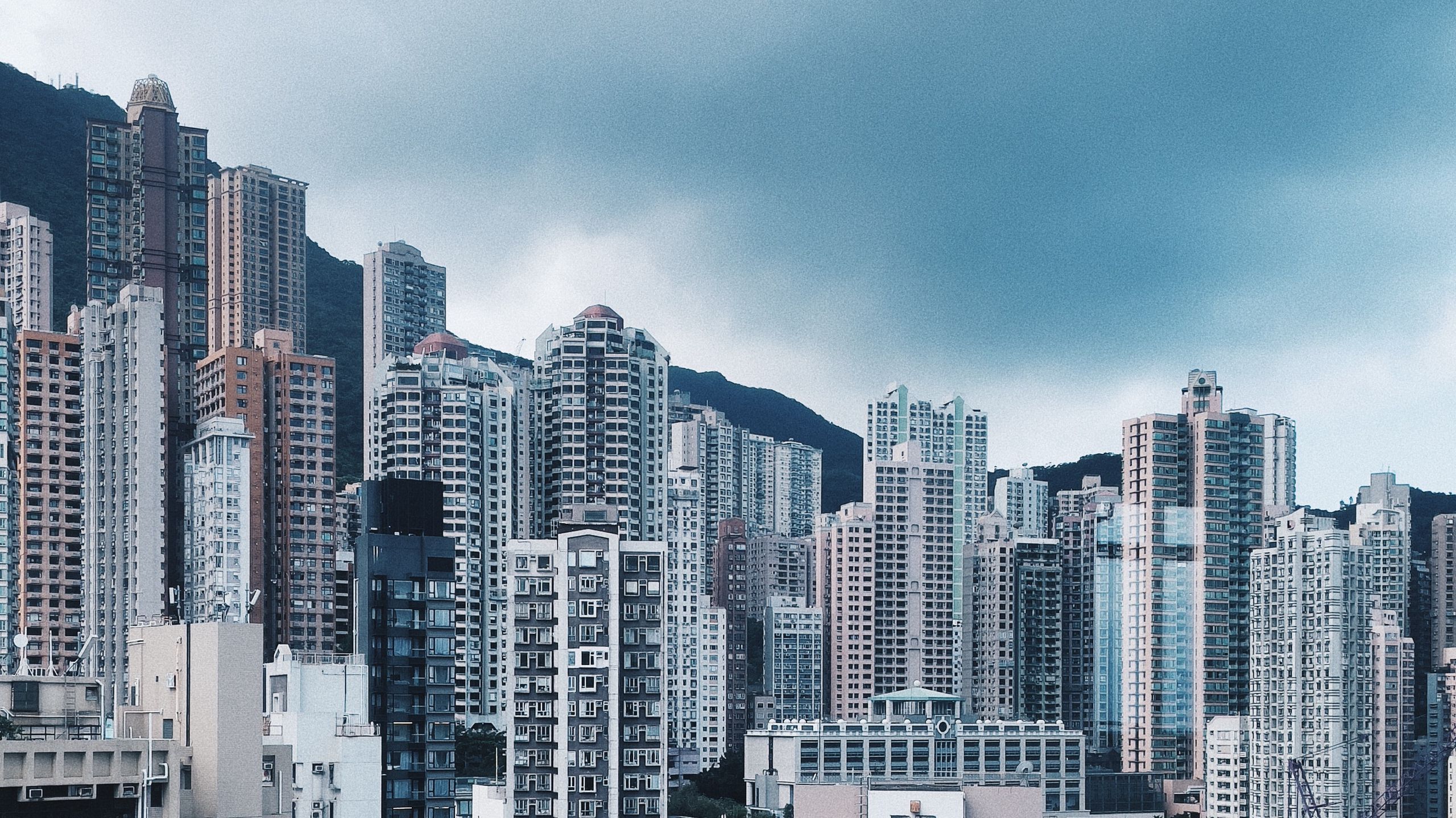 Download wallpaper 2560x1440 city, metropolis, buildings, skyscrapers ...