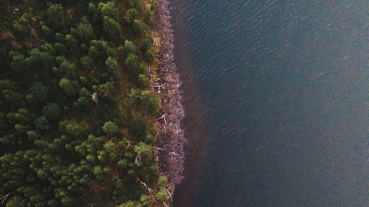 Wallpaper coast, aerial view, forest, water hd, picture, image