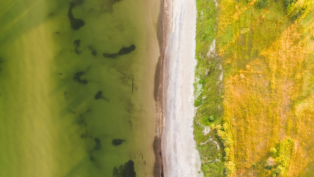 Wallpaper coast, aerial view, trees, forest hd, picture, image