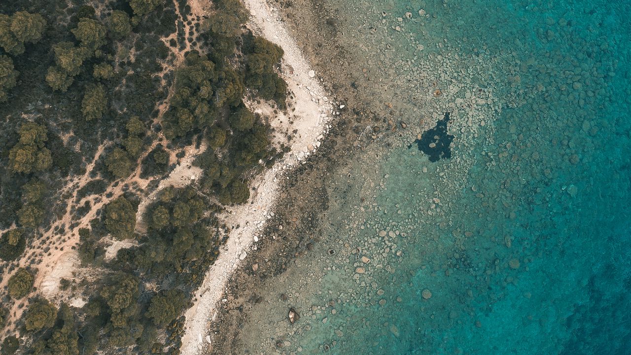 Wallpaper coast, aerial view, water, forest hd, picture, image