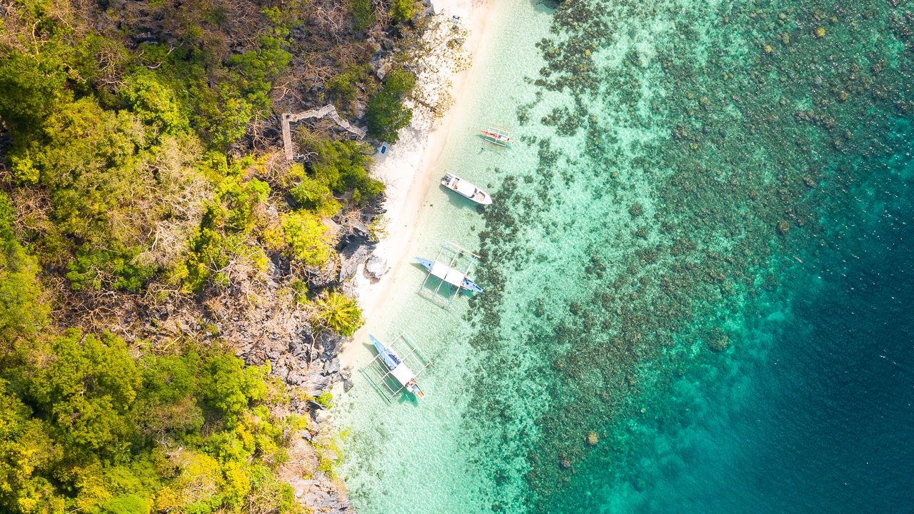Wallpaper coast, aerial view, water, forest, trees hd, picture, image