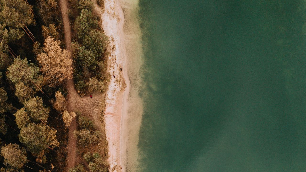 Wallpaper coast, forest, sea, aerial view, trees hd, picture, image