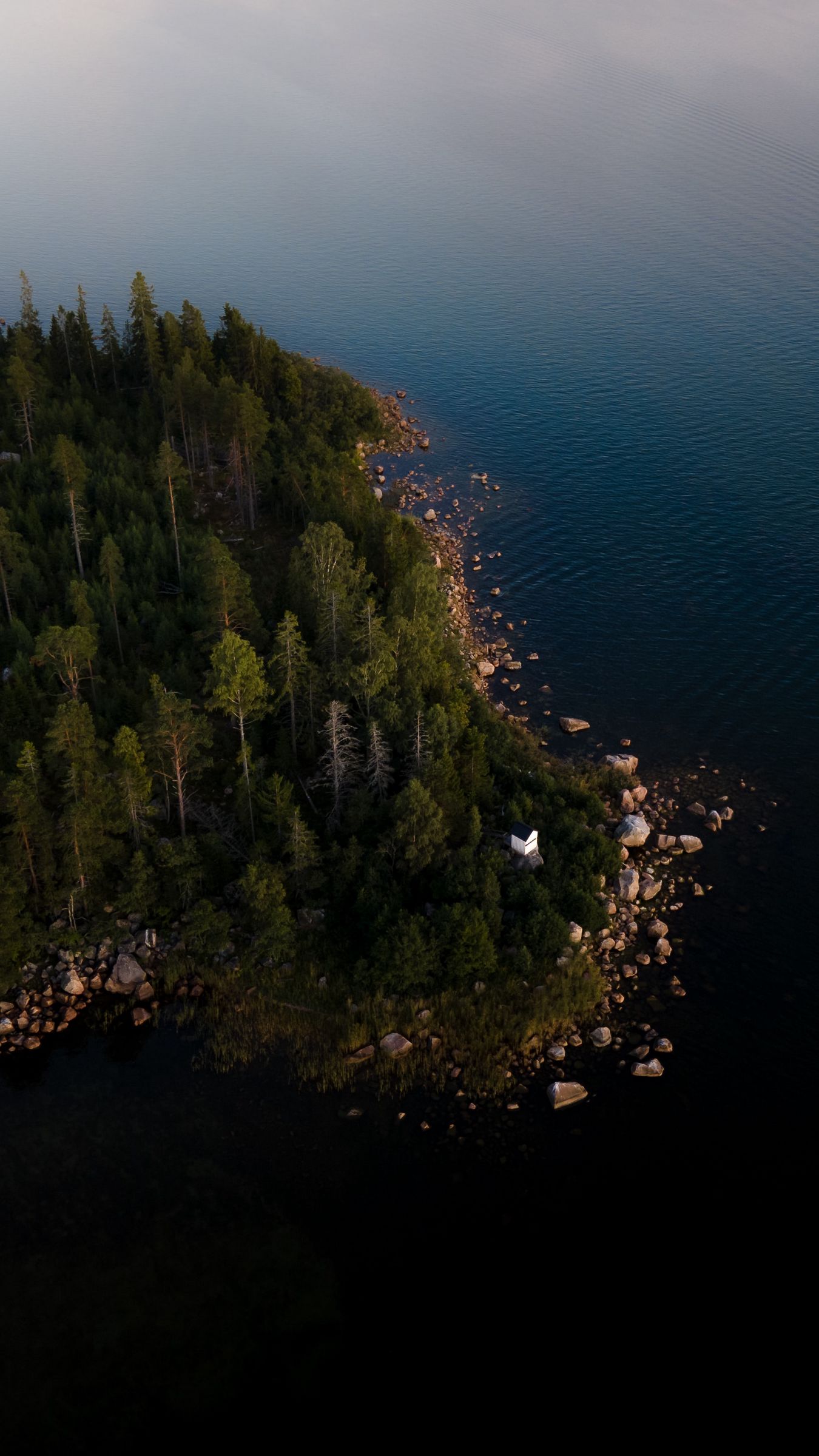 Download wallpaper 1350x2400 coast, forest, trees, water, aerial view ...