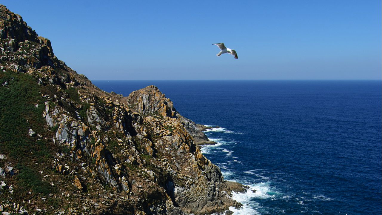 Wallpaper coast, rocks, bird, sea, landscape hd, picture, image