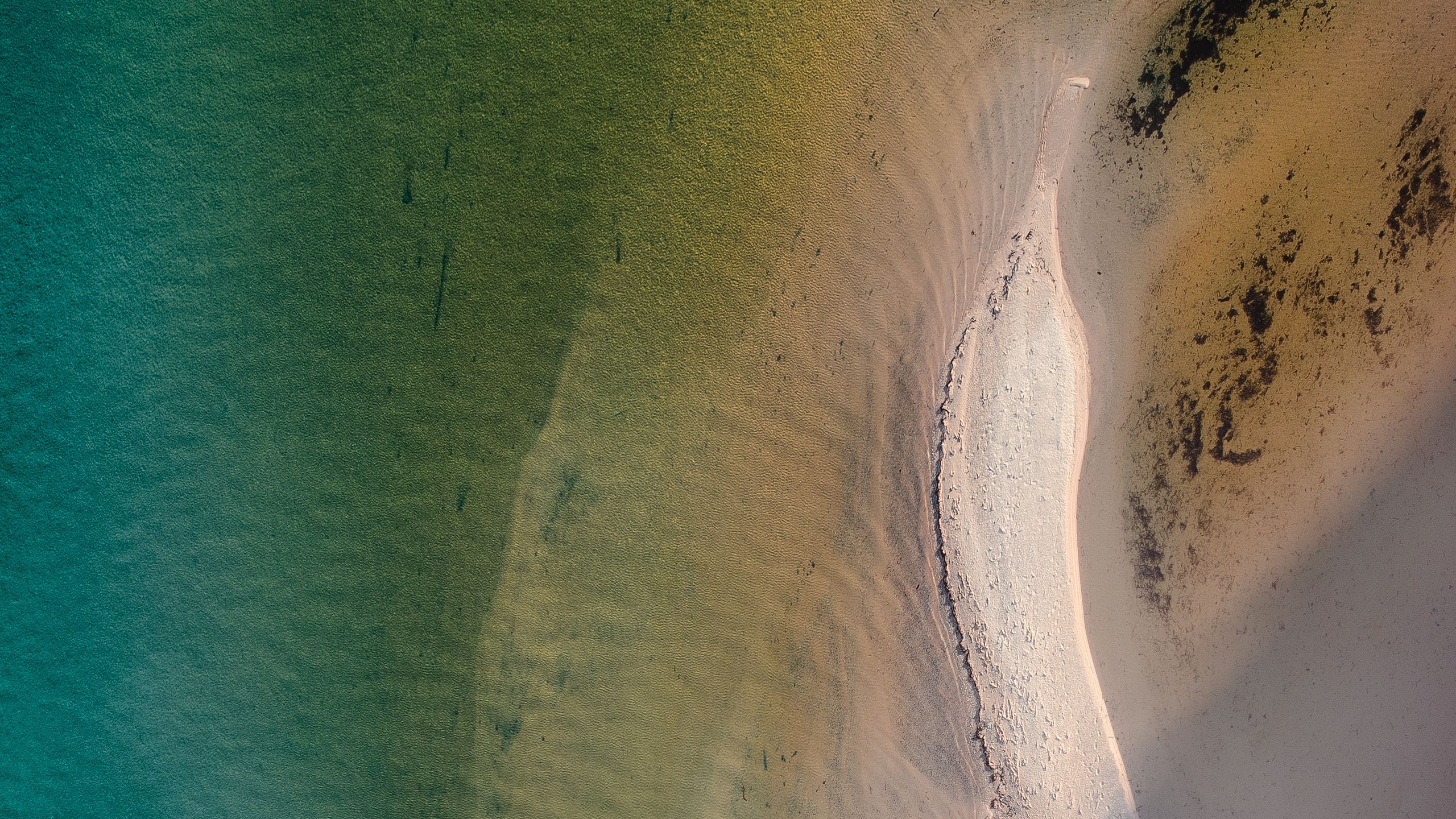 Download wallpaper 2560x1440 coast, sea, sand, aerial view widescreen ...