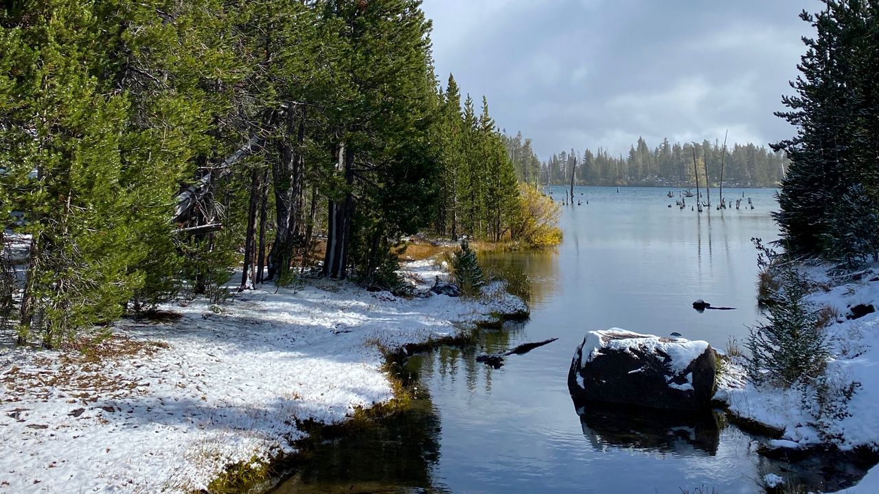 Wallpaper coast, snow, river, trees, nature hd, picture, image